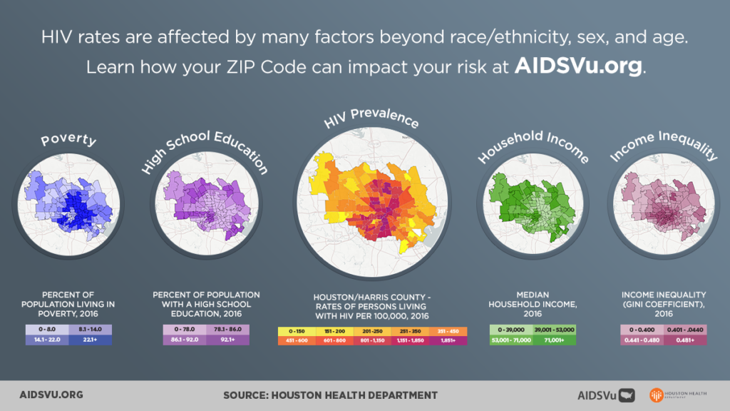 Visualizing HIV: Houston Spotlight
